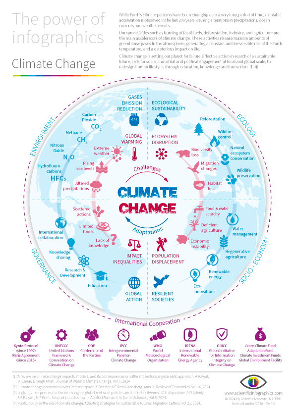 Blog - The Power of Infographics